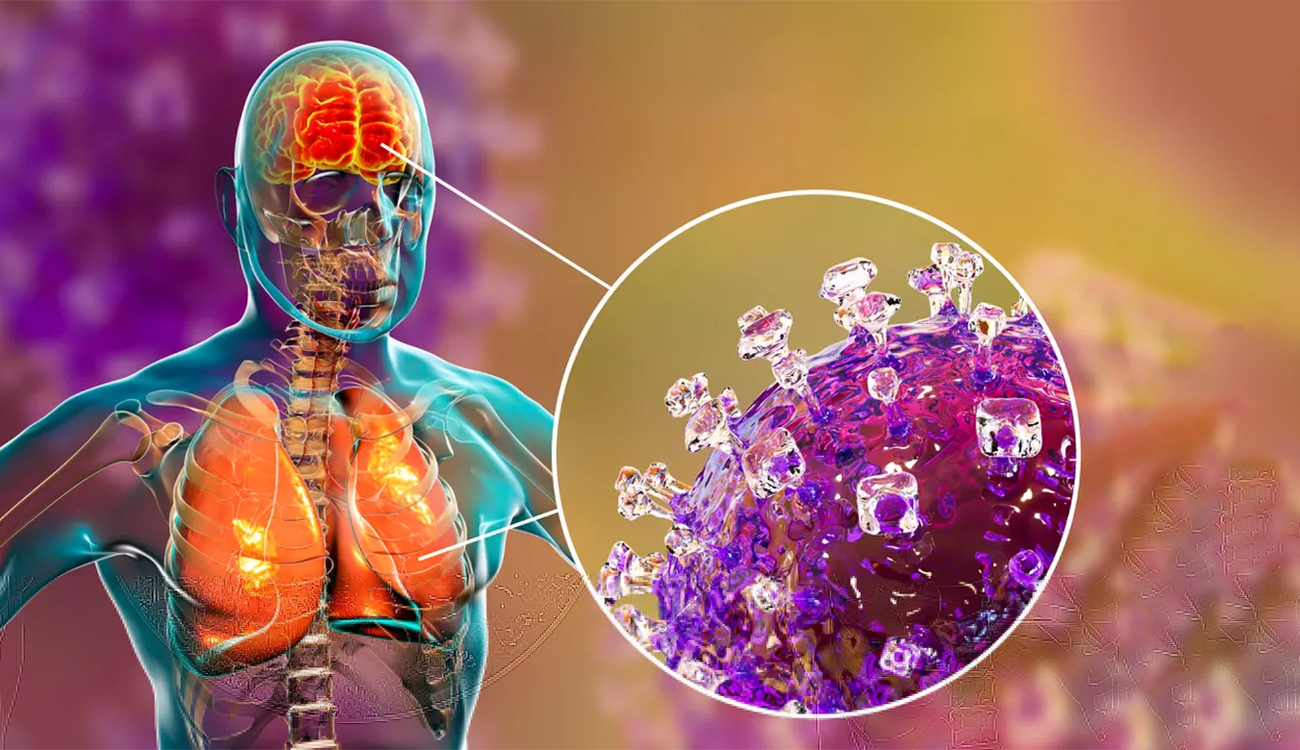 Omondo.info! - L'Ombre du Virus Nipah : L'OMS face au spectre d'une ...